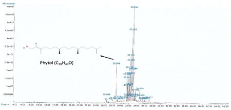 Gc Ms Chromatogram Of P Crocatum Leaves Extracts On Ethanol Download Scientific Diagram
