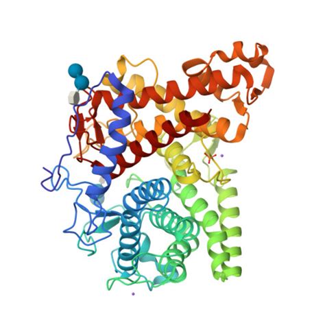 Rcsb Pdb 2f6d Structure Of The Complex Of A Glucoamylase From