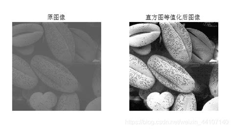 计算机图像处理实验四：图像对比度调整（matlab）用matlab对图像进行常见的非线性变换并加以分析对比。 Csdn博客