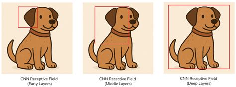 Vision Transformers Vit Tutorial Architecture And Code Examples
