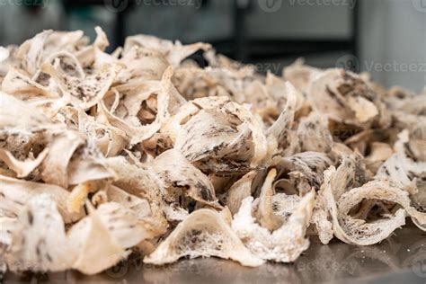 Raw Edible Birds Nest Materials For Tradition Chinese Medicine