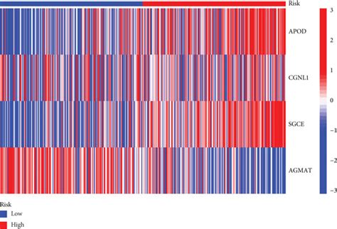 Four Gene Based Prognostic Models Were Constructed Using Lasso Cox