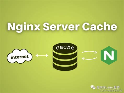 nginx的前世今生（二） nginx 后端响应数据速度快于客户端读取速度 csdn博客