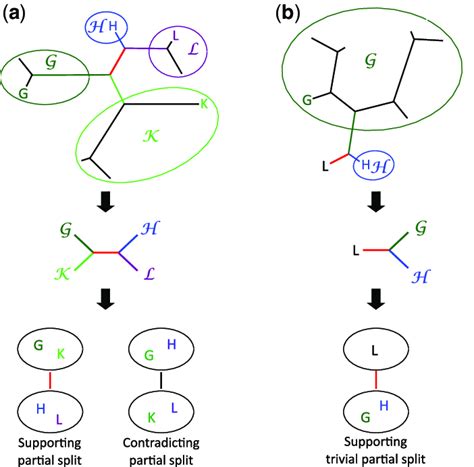 Examples Of Partial Splits Supporting Or Contradicting The Existence Of