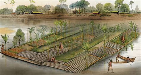 The History Of Chinampas The ‘floating Gardens Of Mexico