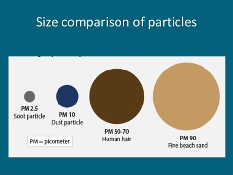 Particulate Matter Pollution