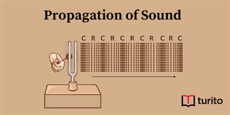 Propagation Of Sound With Examples Turito