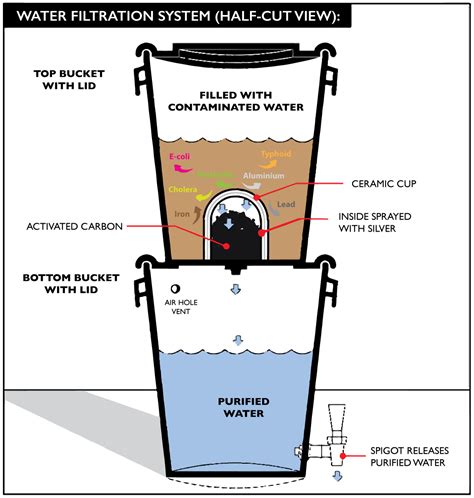 tulip water filter basic water needs