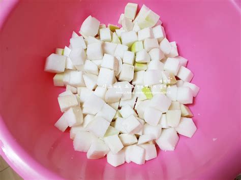 깍두기 양념 깍두기 맛있게 담그는 법