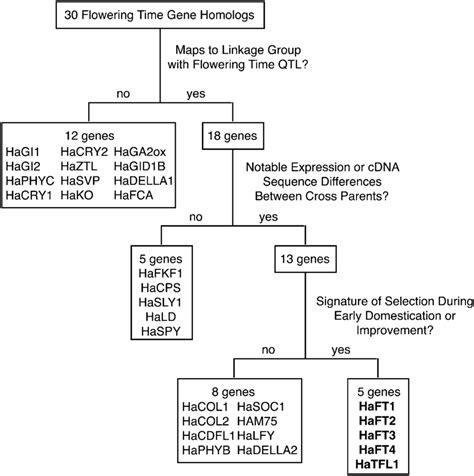 —flowchart Illustrating The Criteria Applied By Integrated Candidate