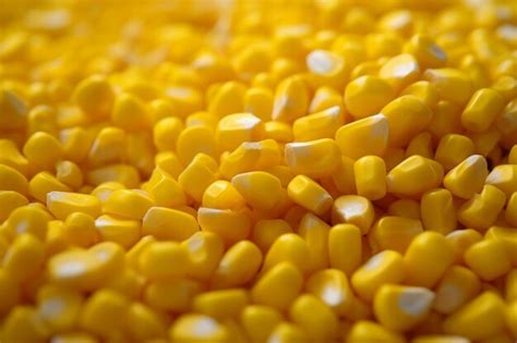 Premium Ai Image Corn Kernels Closeup Highlighting The Texture And