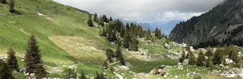 Cqrs Symfony Elasticsearch And React Romaric Drigon