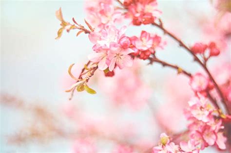 부모와 싸우는 꿈해몽