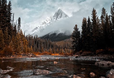 Implementing Batching For Seq2seq Models In Pytorch Marktechpost