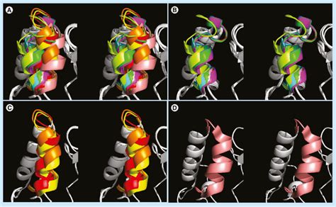 Stereo View Comparison Of The Open And Closed Conformation Of Substrate