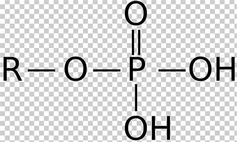 Phosphoric Acids And Phosphates Functional Group Nucleotide Organic