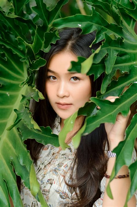 A Woman Is Hiding Behind A Large Leafy Plant Photo Free Garut Image