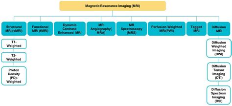 Different Mri Modalities Download Scientific Diagram