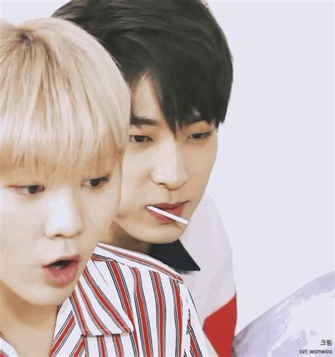 Pin On ╰ 7teen ꒱ Wonwoo Seventeen Kpop Seventeen