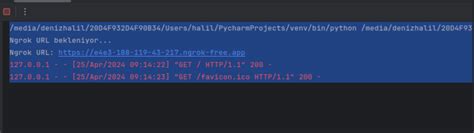 Python Ngrok Web Server Exposing Your Local Web Application Denizhalil Professional