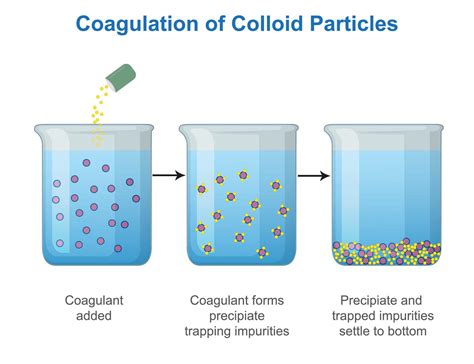Coagulación De Coloide Partículas Vector Ilustración 21669350 Vector En