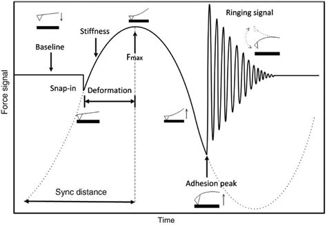 Schematic Diagram Of The PFT Download Scientific Diagram