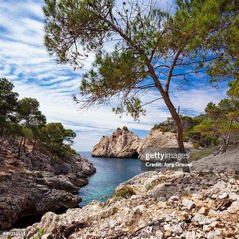 Monjo Photos And Premium High Res Pictures Getty Images