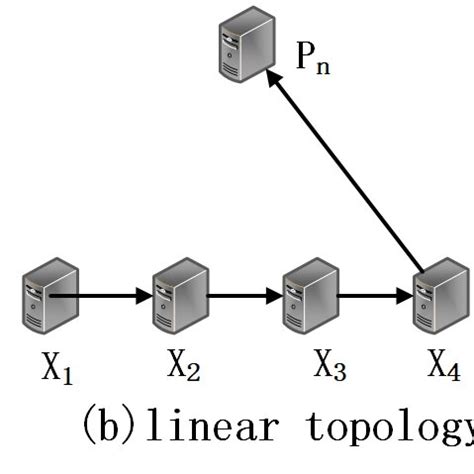 Example Of Different Types Structure Of Write Topology Download Scientific Diagram