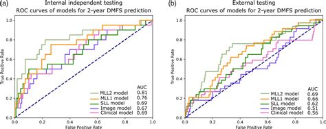 Ct‐based Deep Multi‐label Learning Prediction Model For Outcome In