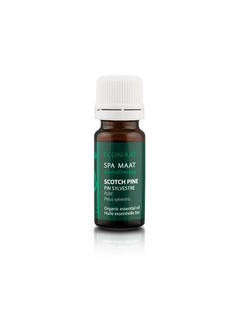 Scotch Pine Pinus Sylvestris Essential Oil Ecomaateu