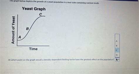 Solved The Graph Below Depicts The Growth Of A Yeast Population In A
