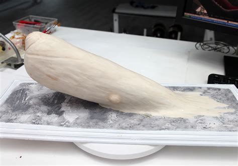 Moby Dick On Behance