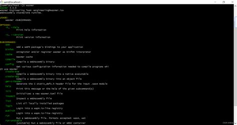 基于 Rust 的 Wasmwasi 开发探索与实践（linux开发环境）wasi安装 Csdn博客