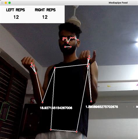 Github Niranjannr Bicep Curl Tracker