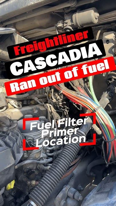 Ran Out Of Fuel Freightliner Cascadia Fuel Filter Primer Location Dd13 Dd15 Truckrepair Youtube