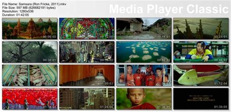 Picture Of Samsara