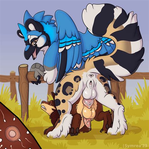 Rule 34 Anus Avian Balls Beak Blue Body Bodily Fluids Brown Body