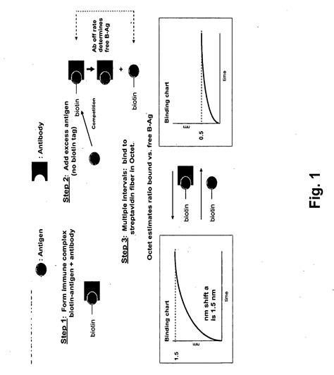 methods for characterizing molecular interactions eureka patsnap