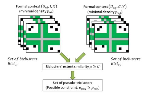pseudo triclustering algorithm scheme download scientific diagram