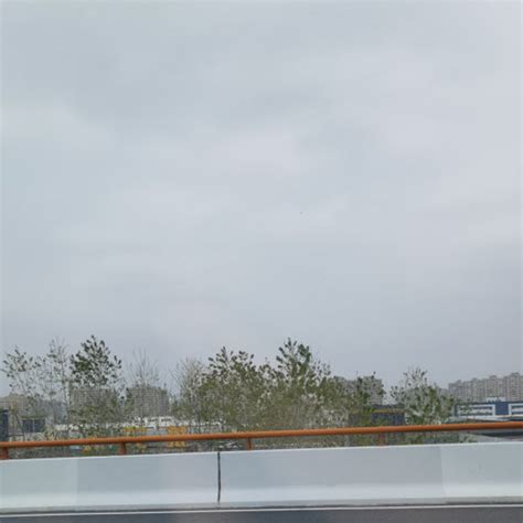 Dandan Zhang Business Development Manager Doctor Of Philosophy Healthcare Research Profile