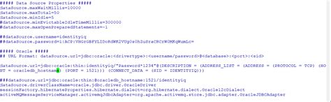 Could Not Process Key Datasource In Propertyoverrideconfigurer Iiq Discussion And Questions