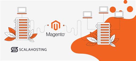Can Magento Run On Shared Hosting Scalahosting Blog