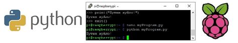 Як почати програмувати raspberry pi на python — it master електроніка