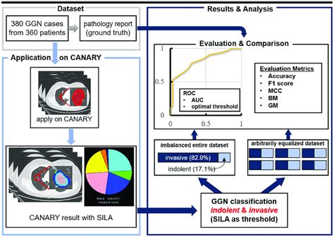 Flowchart Of Computer Aided Nodule Assessment And Risk Yield Canary Download Scientific