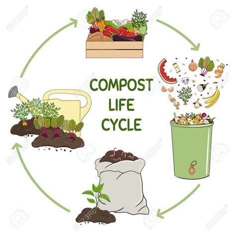 Compost Cycle Compost Homemade Plant Fertilizer Composting At Home