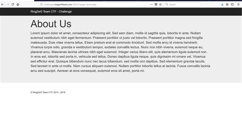 ringzer0 web warning looking for password file loveless