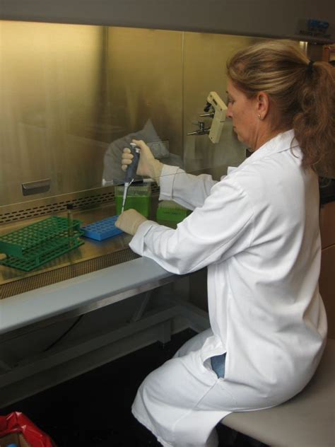 Biological Safety Cabinet Certification Environmental Health And Safety