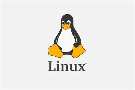 How To Print A Specific Line From A File In Linux Grepitout