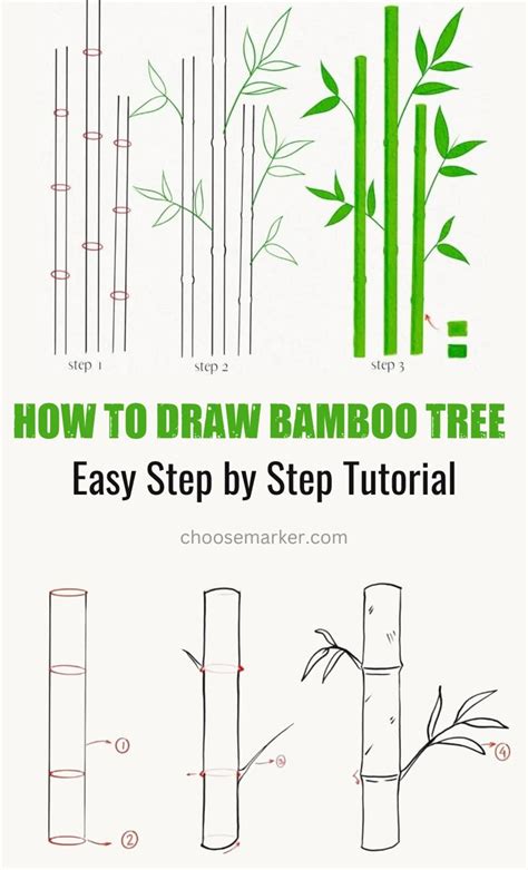 How To Draw Bamboo Tree Easy And Step By Step Tutorial In 2023 Bamboo