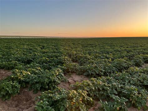 Alexios Vardakis Posted On Linkedin